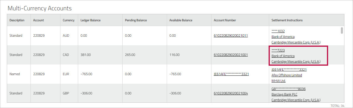 Viewing Multi-Currency Account activity
